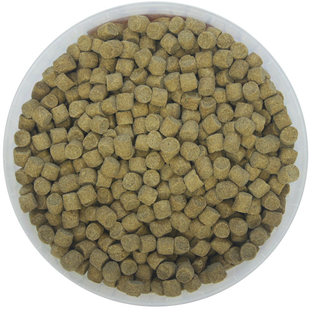 Carp Pellet | Carp Pellets | Kent Particles