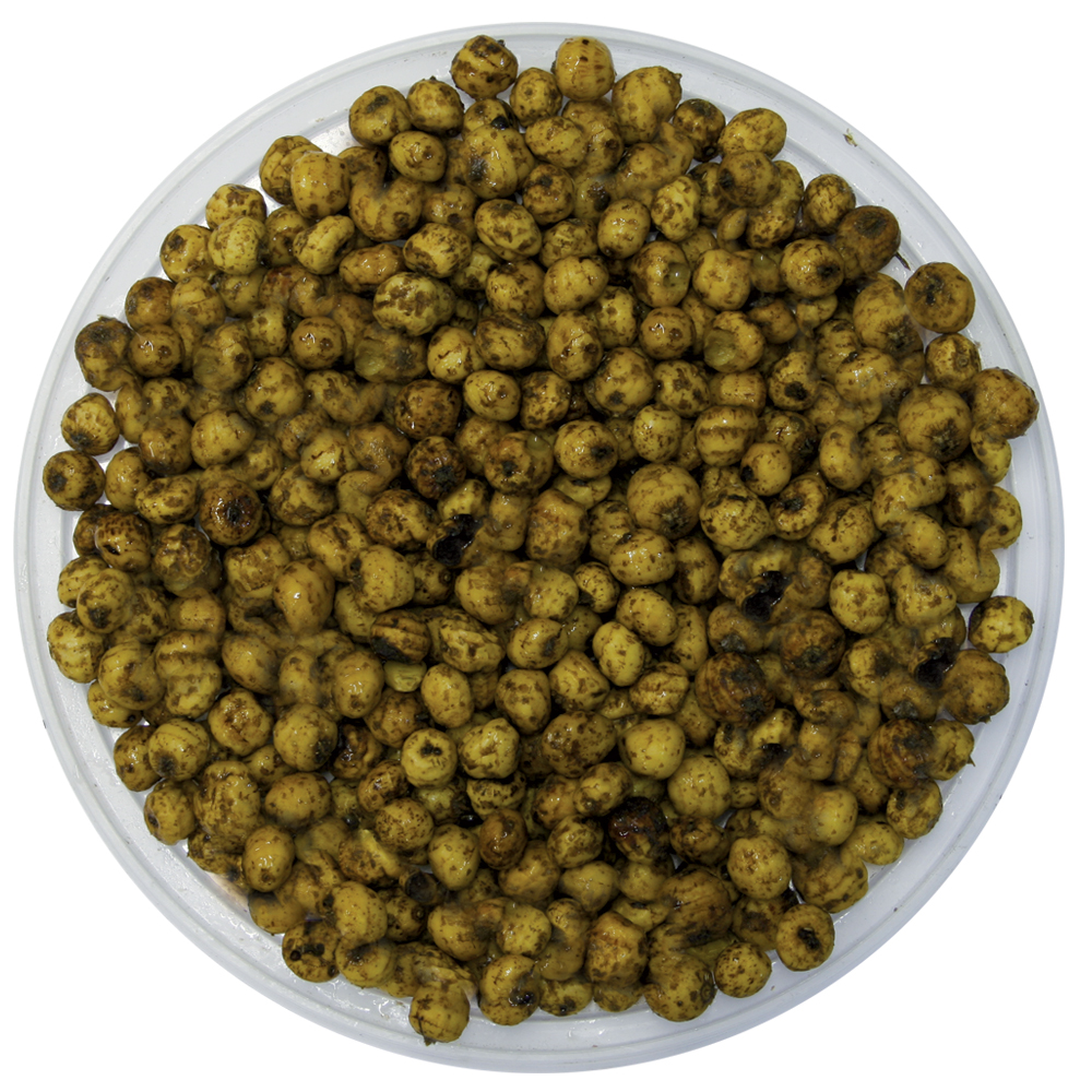 Prepared Large Tiger Nuts | Carp Particles | Kent Particles