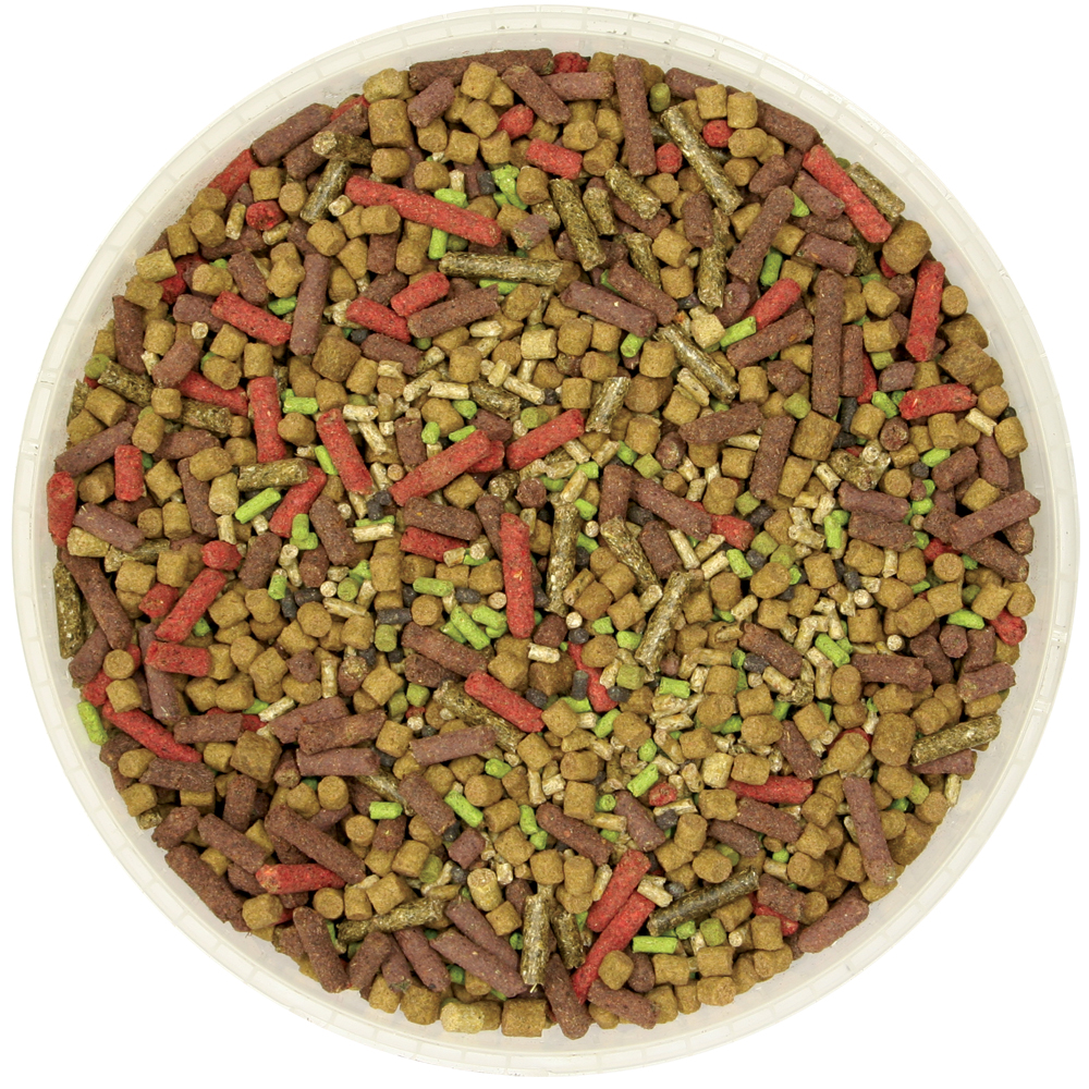 Mixed Combo Pellet | Carp Pellets | Kent Particles