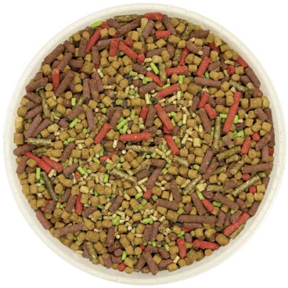 Mini Mixed Combo Pellet | Carp Pellets | Kent Particles